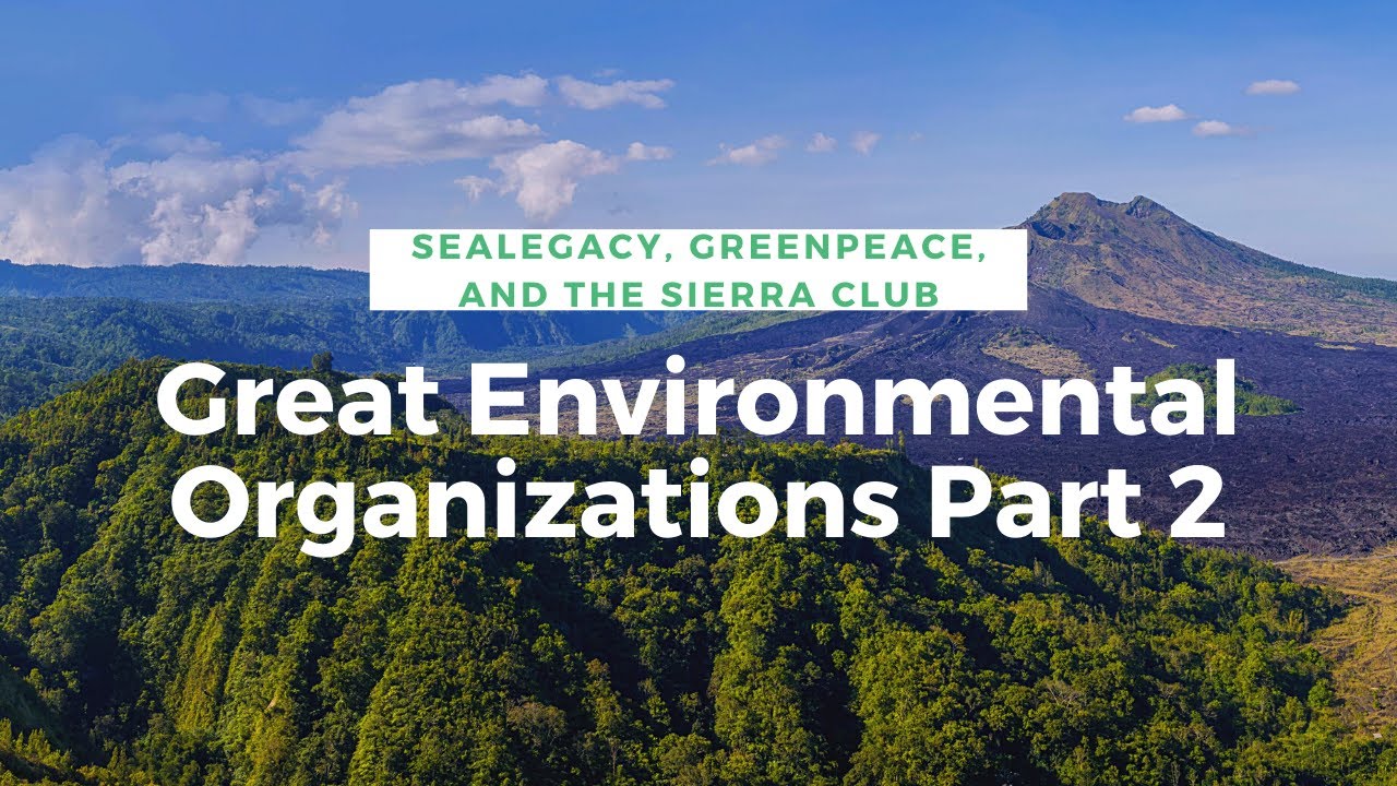 Great Environmental Organizations Part 2 - YouTube