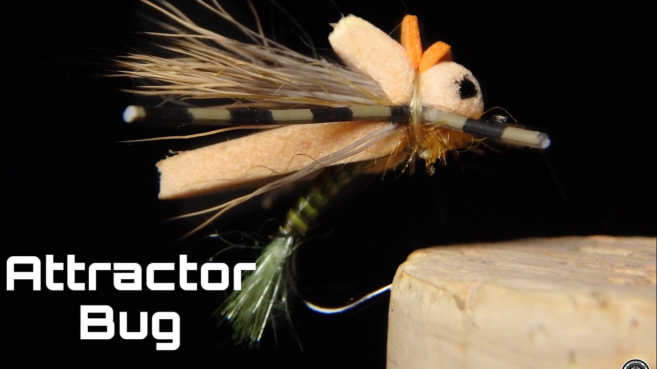 Fly tying ATTRACTOR BUG por Jorge G - YouTube