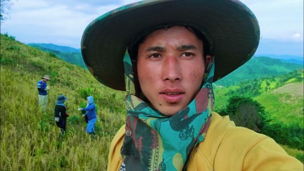 hnub no mu hlai nplej nrog lub suab raj kho siab - YouTube