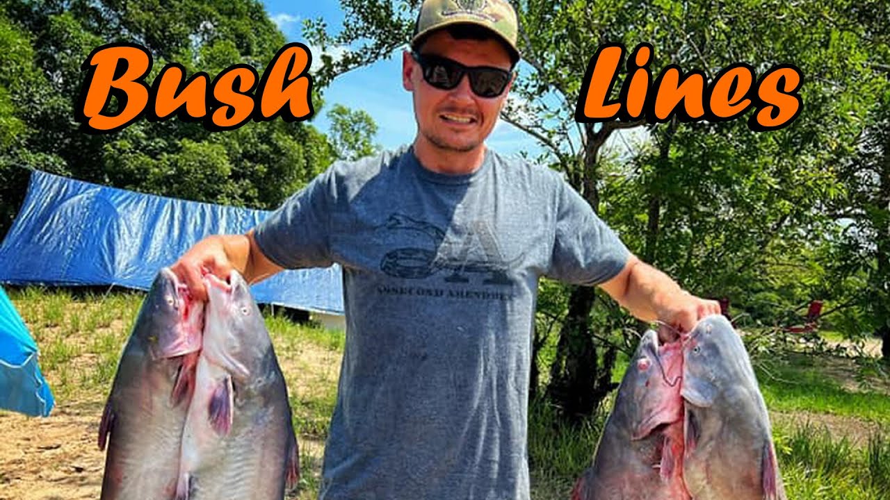 Catching Blue Cats | Running Bush Lines - YouTube