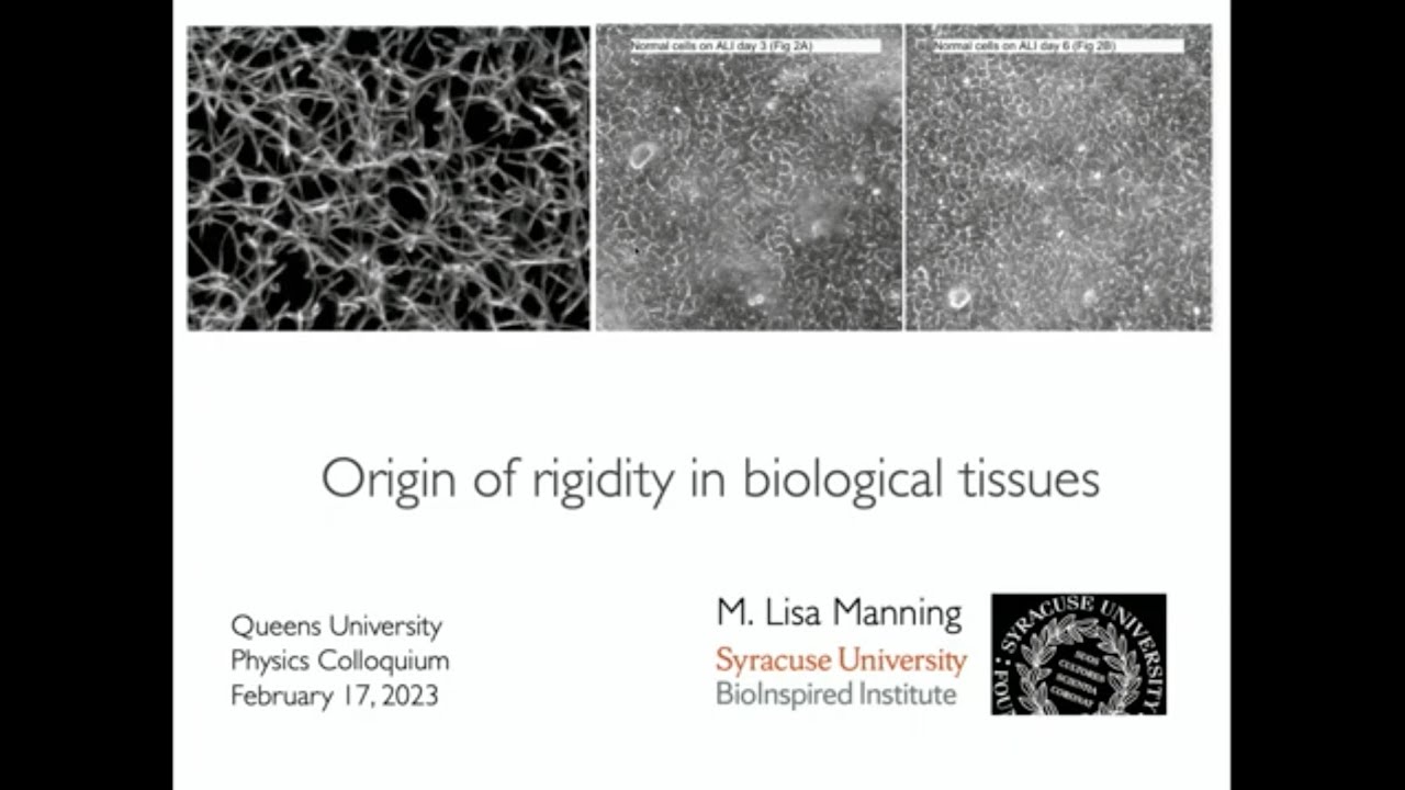 Physics Colloquium: Origin of Rigidity in Biological Tissues - YouTube