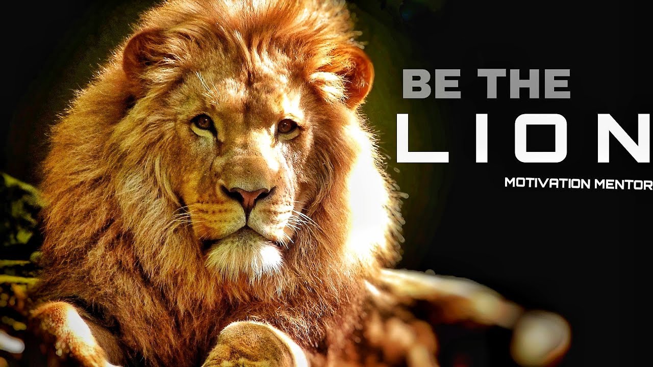 Be The LION | The Lion Mentality | lion motivation speech - YouTube