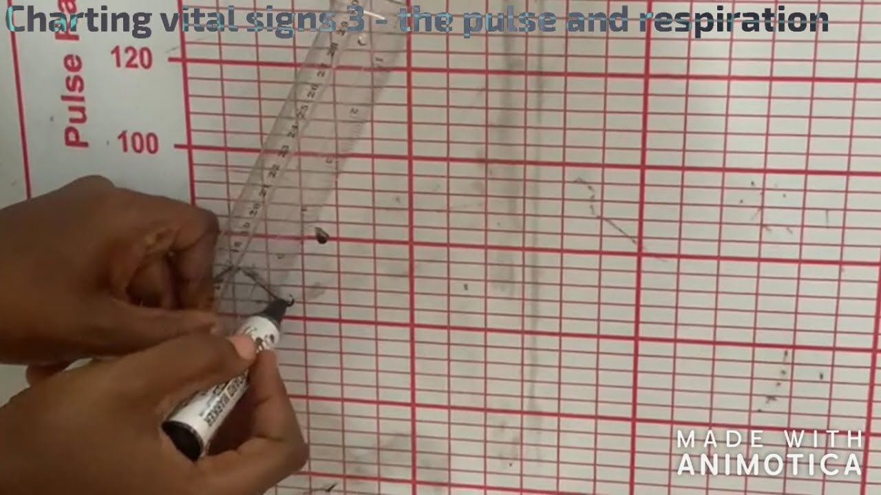 Charting vital signs 3 - the pulse and respiration @nursingart247 - YouTube