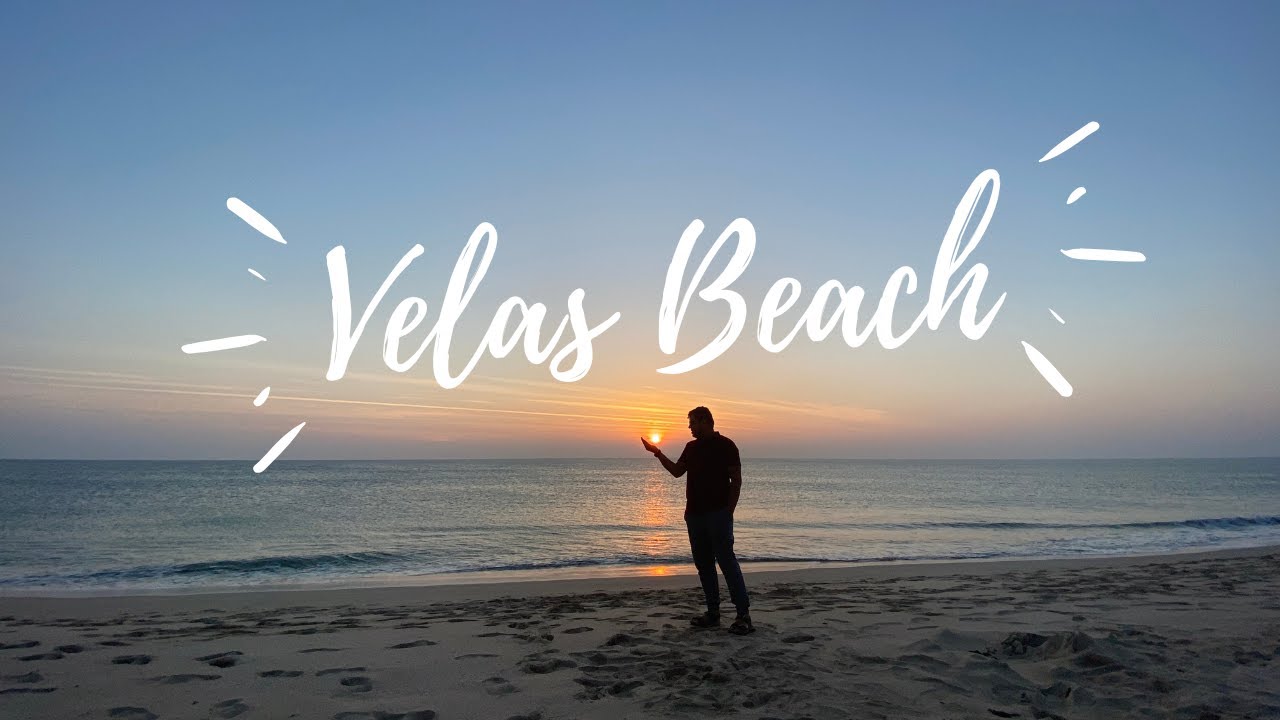 Velas beach | Velas beach turtle festival | Turtle nursery | Olive ...