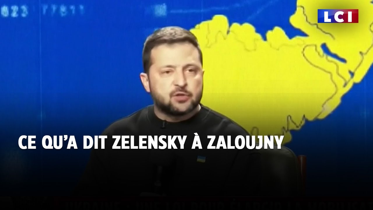Ce qu'a dit Zelensky à Zaloujny - YouTube