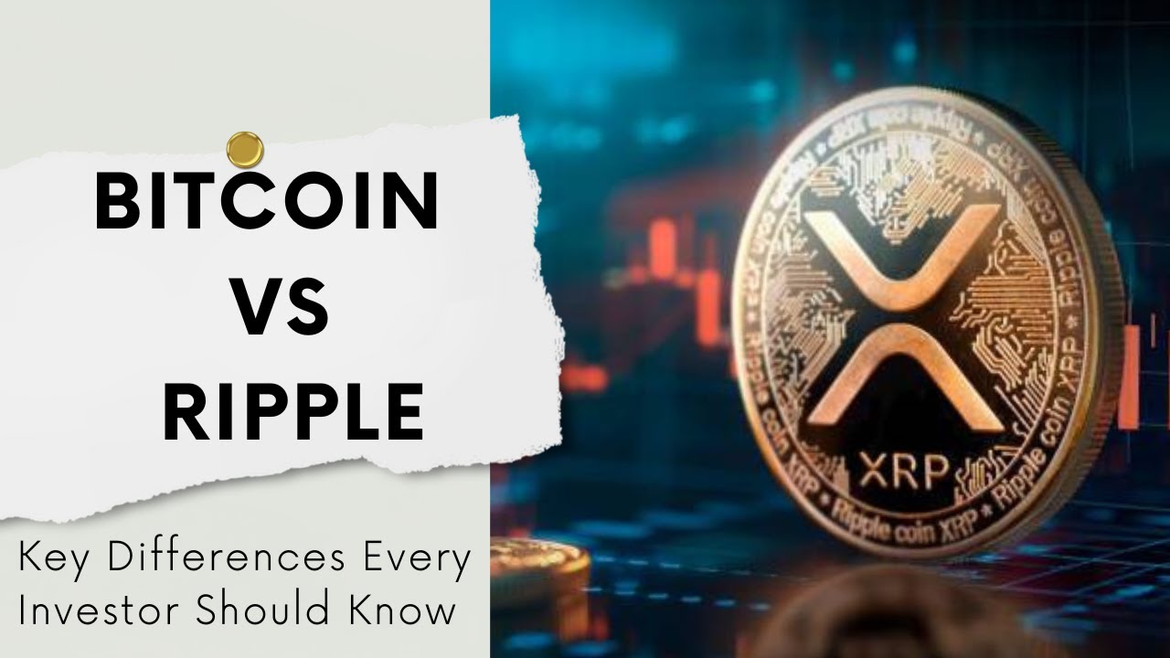 Bitcoin vs. XRP: Key Differences Every Investor Should Know - YouTube