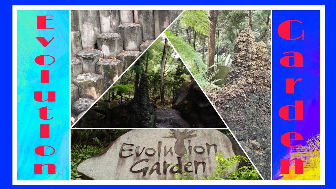 Evolution Garden at Botanic Garden - YouTube