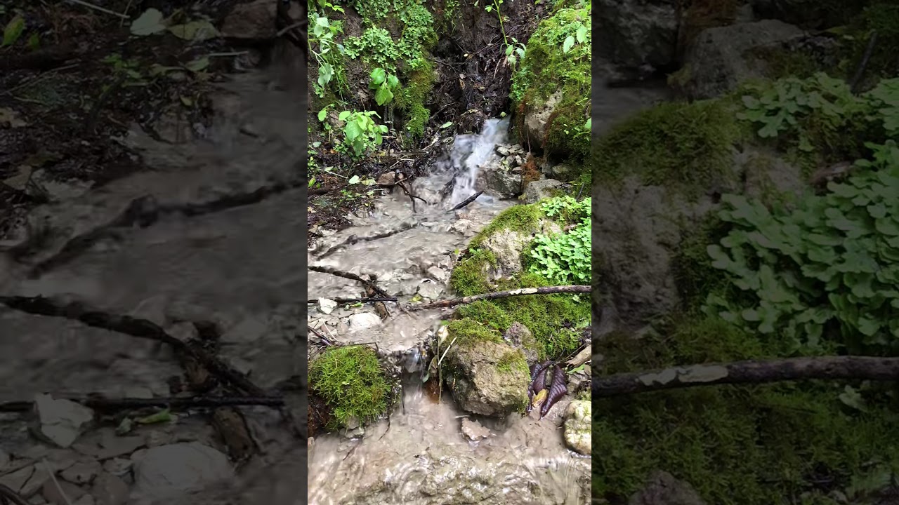 Spring water coming out of the ground - YouTube