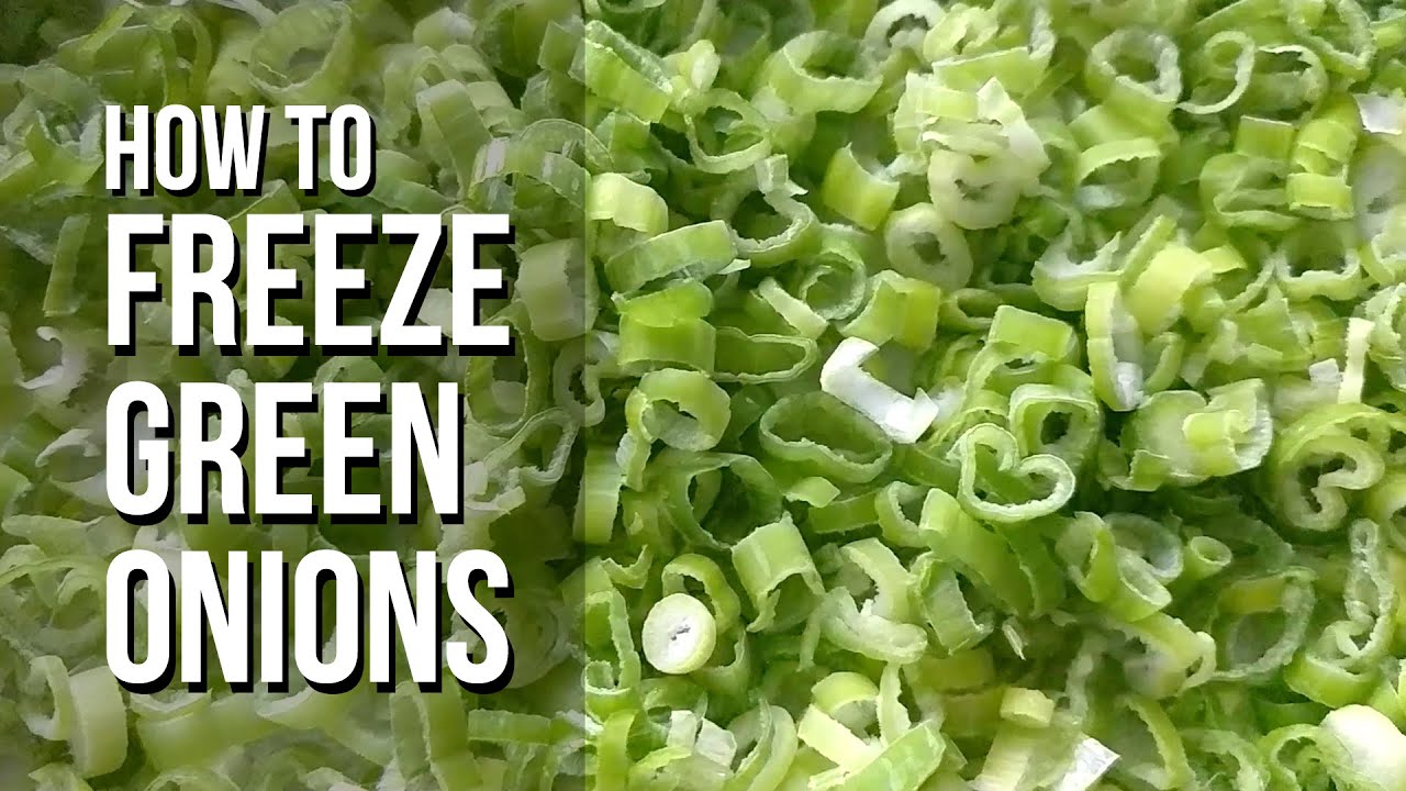 How To Freeze Chopped Green Onion (Scallions) - YouTube