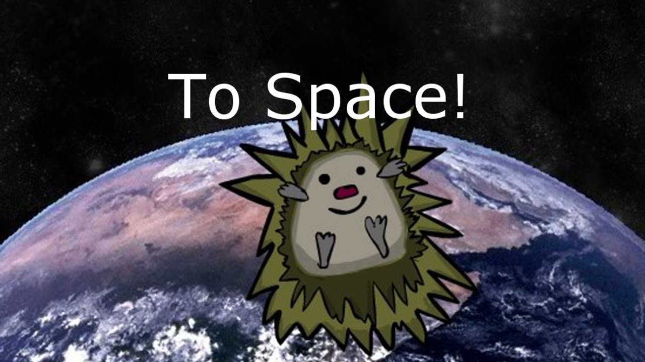 TO SPACE! | Hedgehog Launch - YouTube