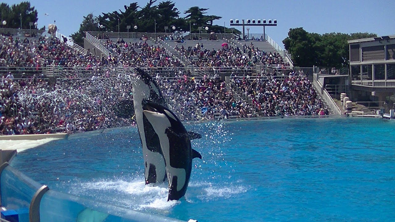 One Ocean (Full Show/Full HD) - May 22 2016 - SeaWorld San Diego - YouTube