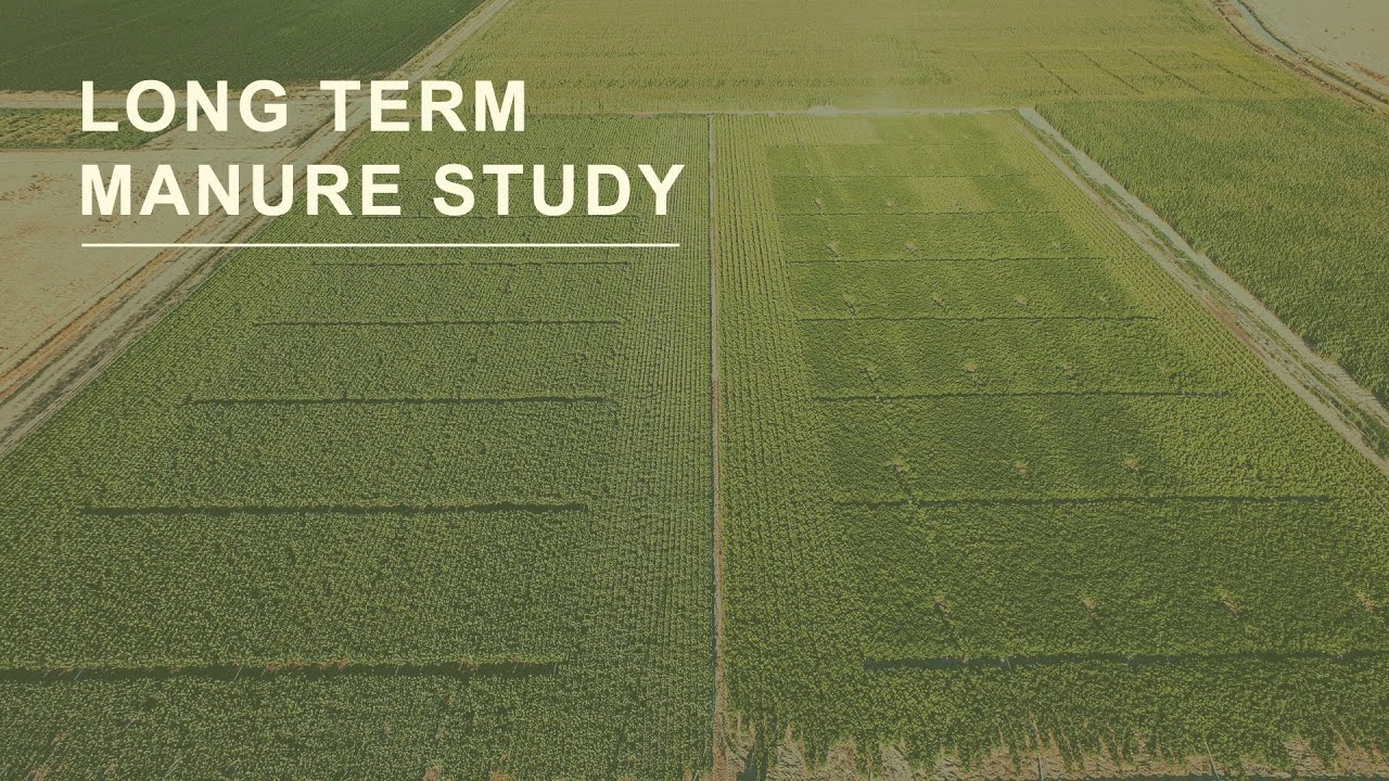 USDA ARS Long Term Manure Study (Kimberly, Idaho) - YouTube