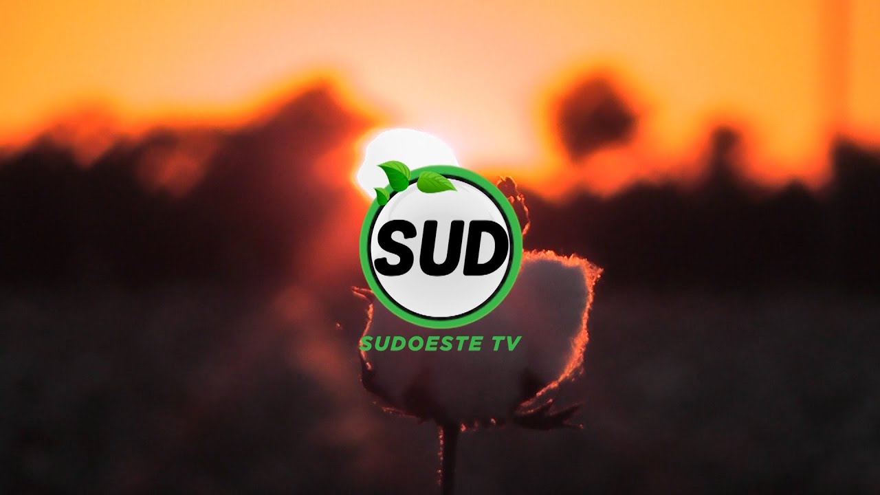 SudTv, Programa Nº 252, 25 de Diciembre de 2022 - YouTube
