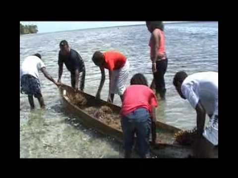Challenge Coral Reef, St Josephs Tenaru School, Solomon Islands ...