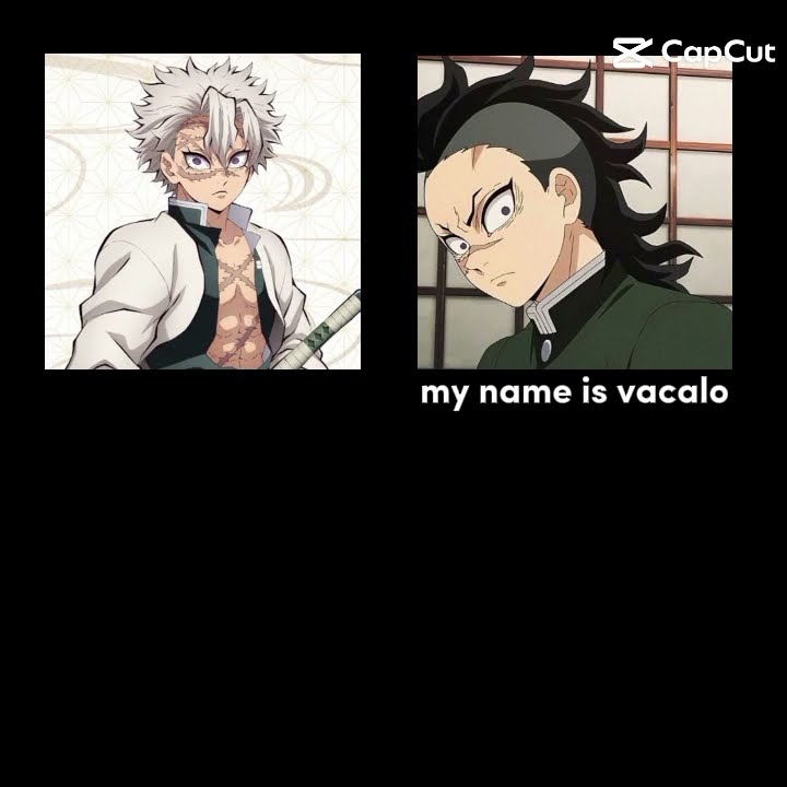 My name is vacalo- #meme #kimetsuirmaos #sanemisegenya - YouTube