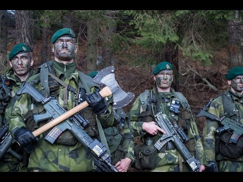 Försvarsmakten: Warriors of The World [Manowar]