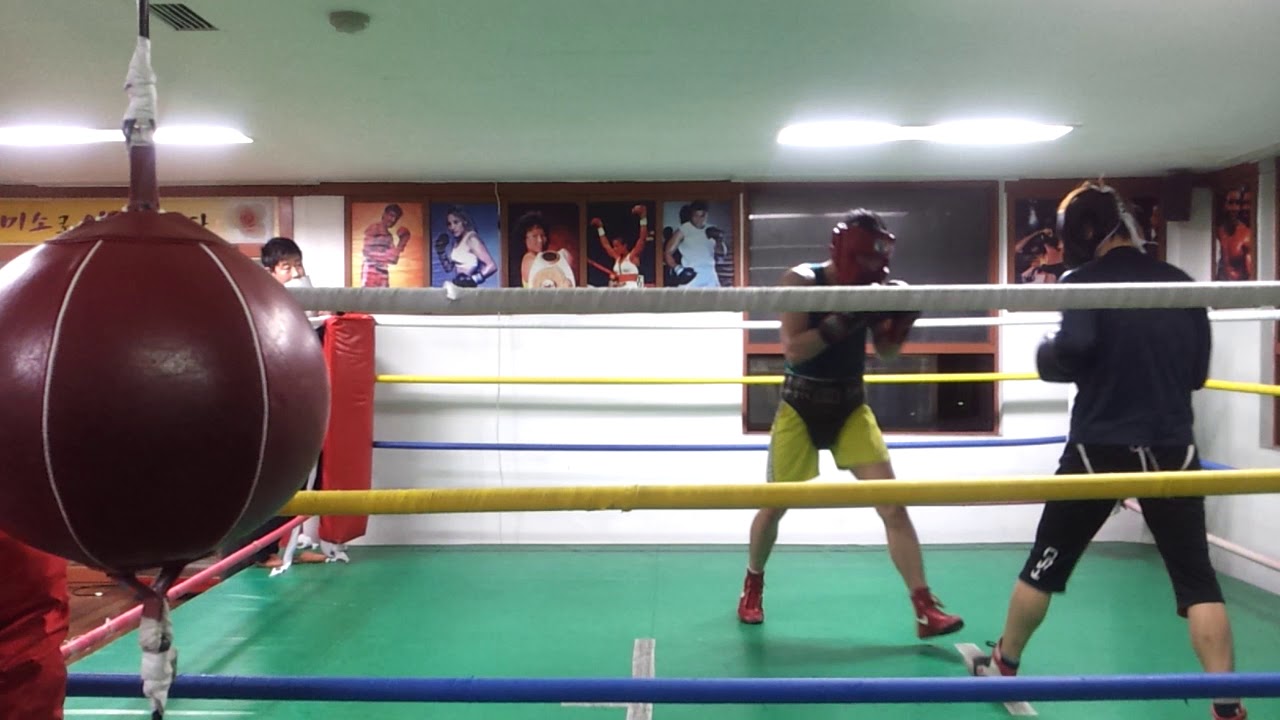 Korean pro boxers sparring - YouTube