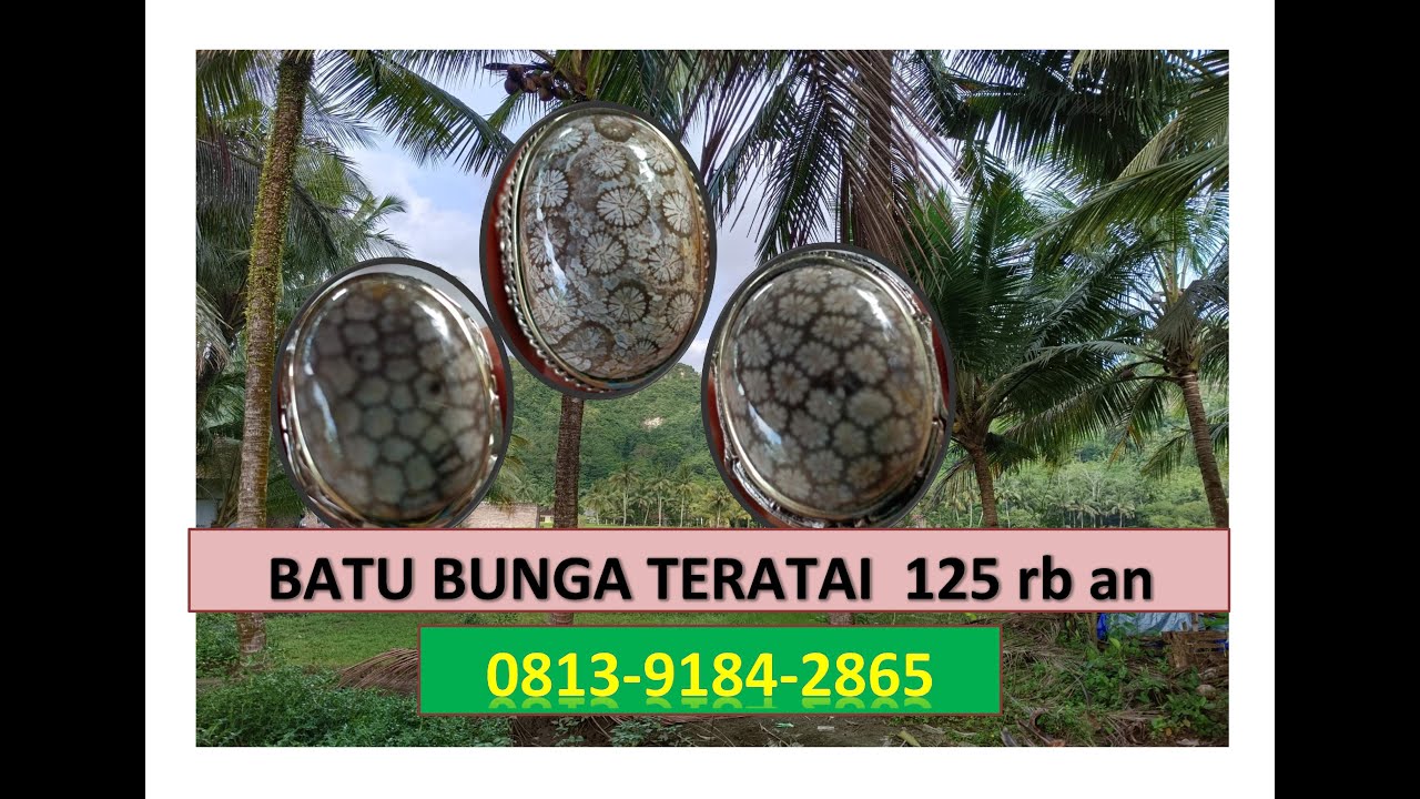 BATU BUNGA TERATAI NATURAL 125 RB.AN WA 0813-9184-2865 - YouTube