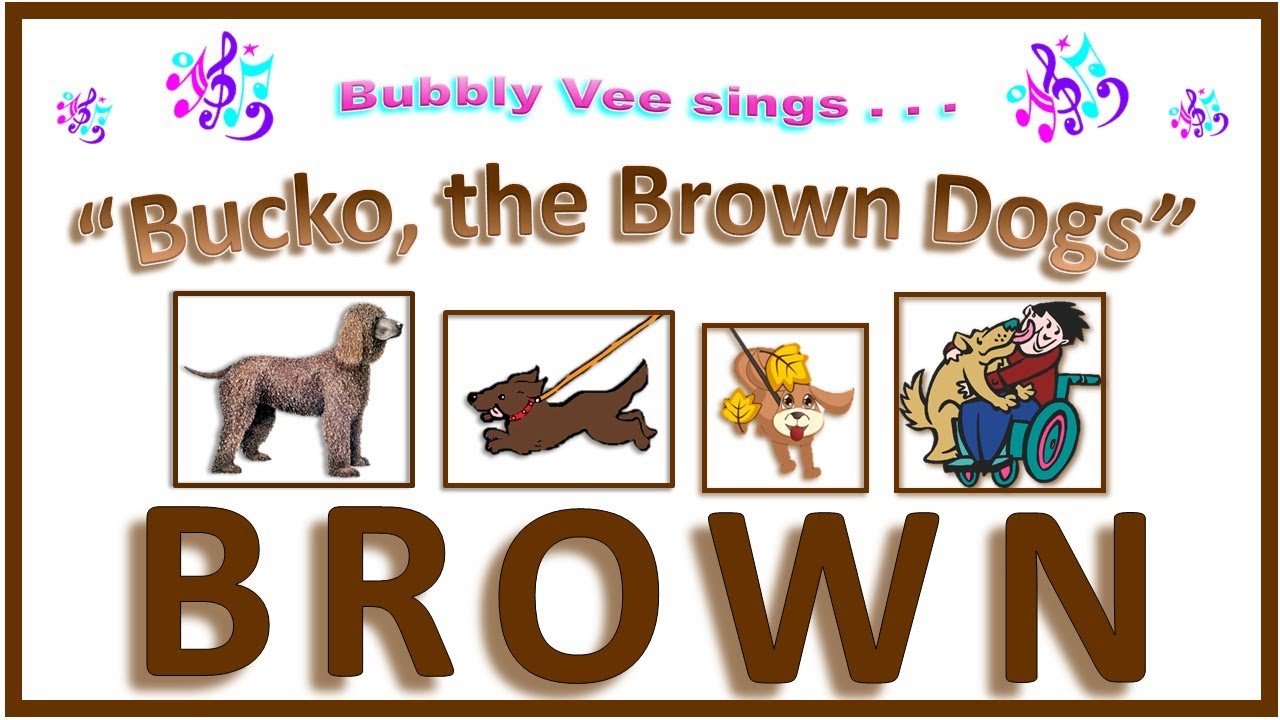 Learn Colors - Brown / Bucko, the Brown Dogs / Color Brown Song - YouTube