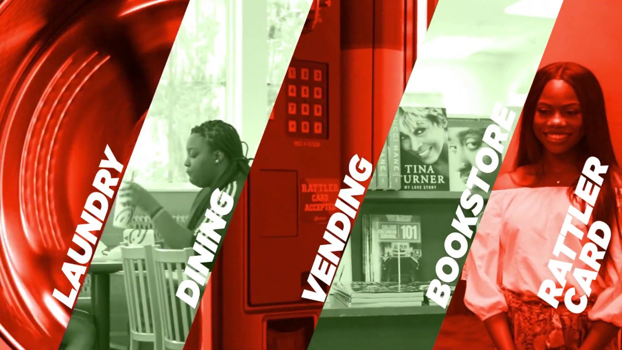 FAMU Business and Auxilary Report 2019 - YouTube