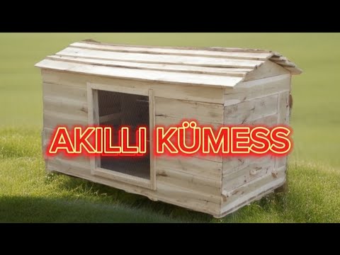 Düşük Maliyet ile Akıllı Ahşap Kümes Yapımı