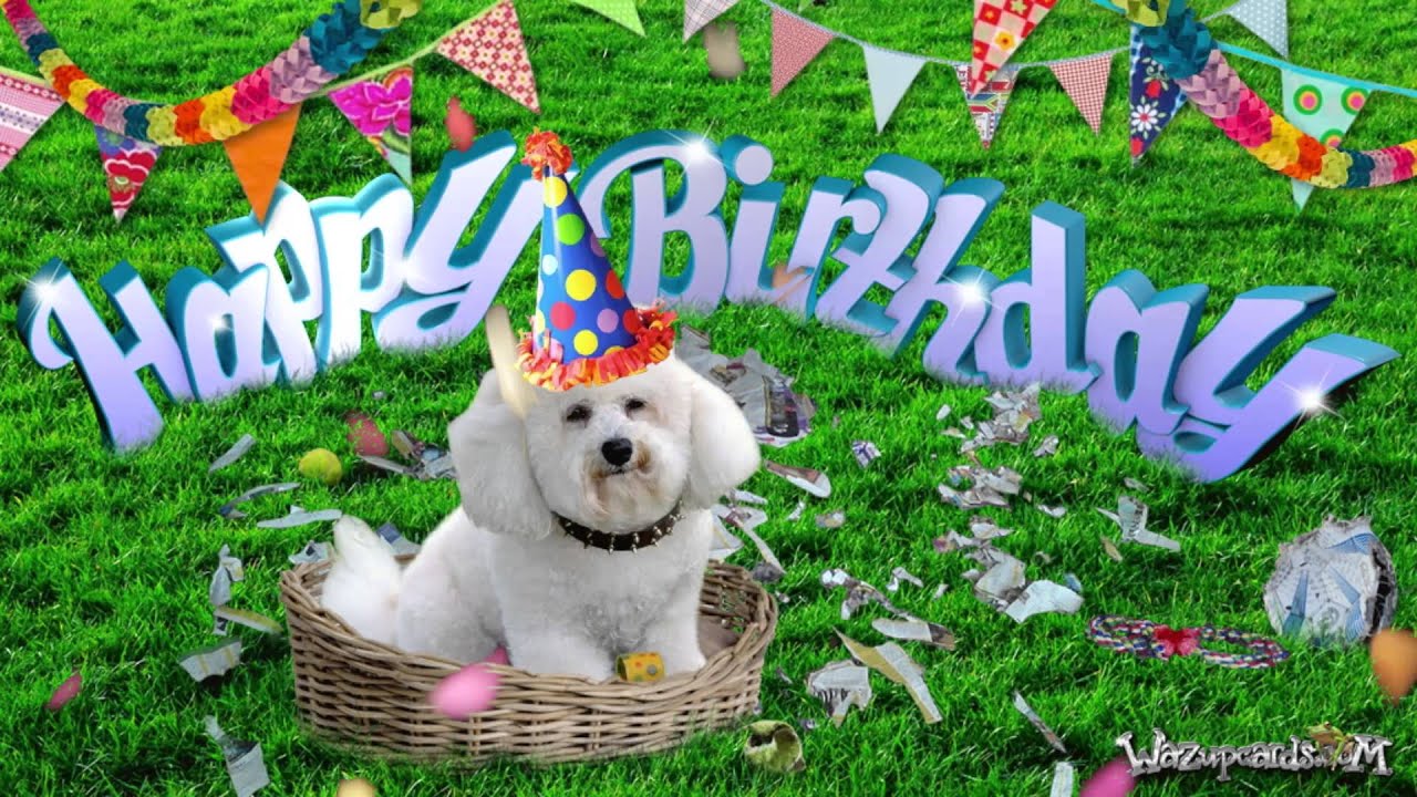 HAPPY BIRTHDAY - Poodle [For Him] - YouTube