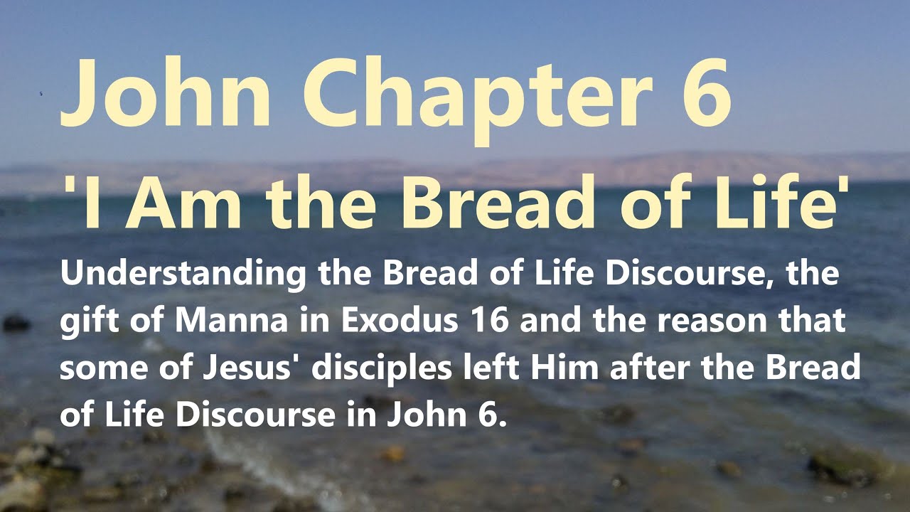 John 6: The Gospel of John, Catholic Bible Study, Fr. Tim Peters - YouTube