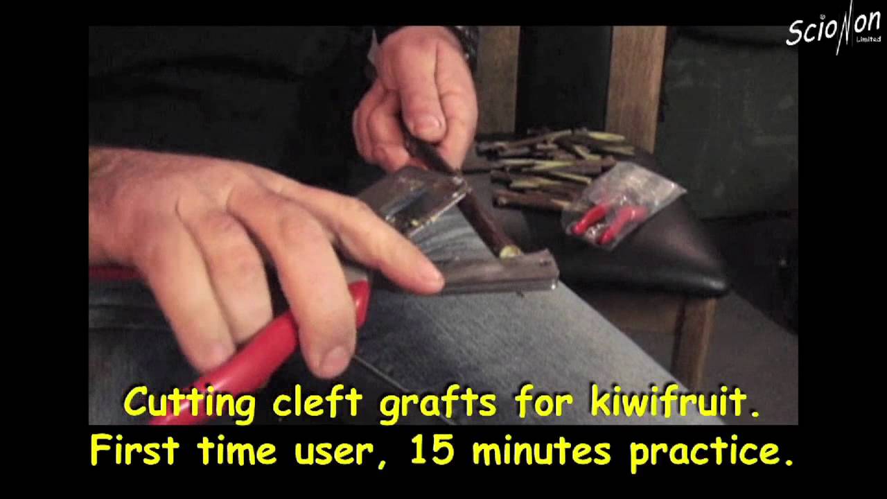 Graft Crafter hand shears various uses - YouTube