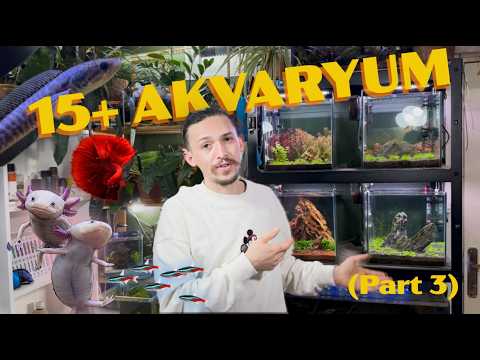 Akvaryum Oda Turu (Part 3)