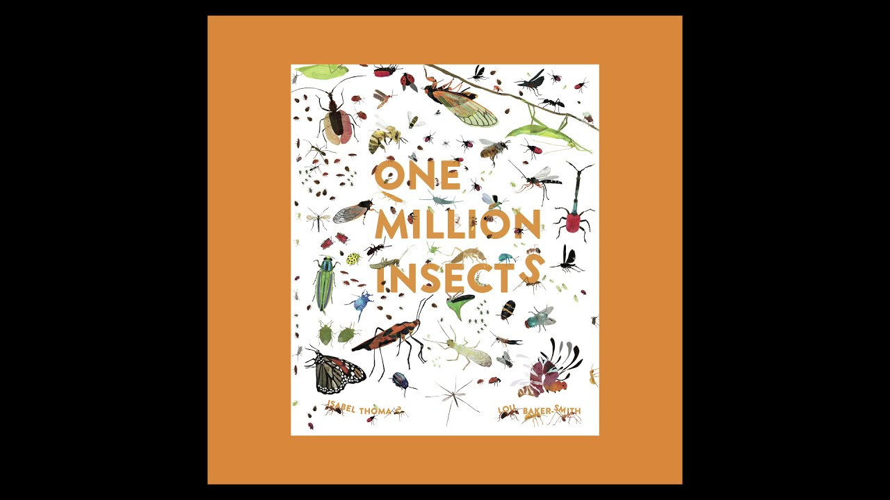 One Million Insects by Isabel Thomas, Illustrated by Lou Baker Smith ...