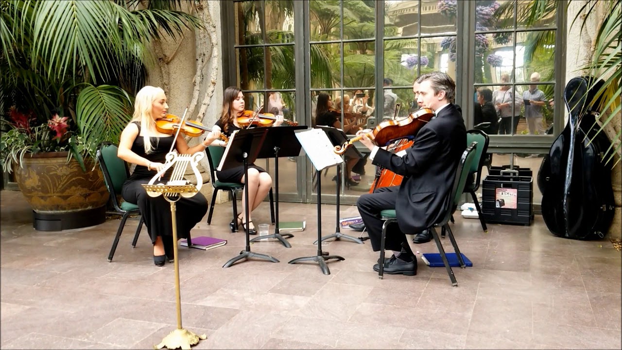 Longwood Gardens String quartet in the Conservatory - YouTube