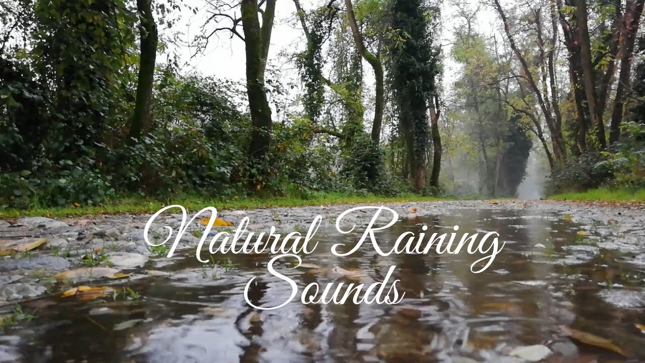 Natural Raining Sounds For Sleeping Studying 1 Hour Relaxation With ...