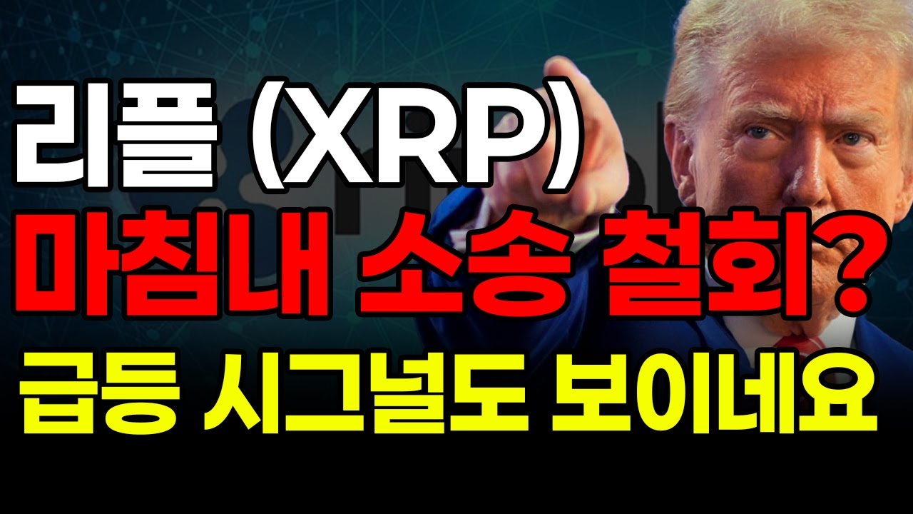 리플xrp이 드디어 고래들이 벌써 매집중이네요 지금부터가 중요합니다 리플코인 엑스알피 리플매수가 Youtube