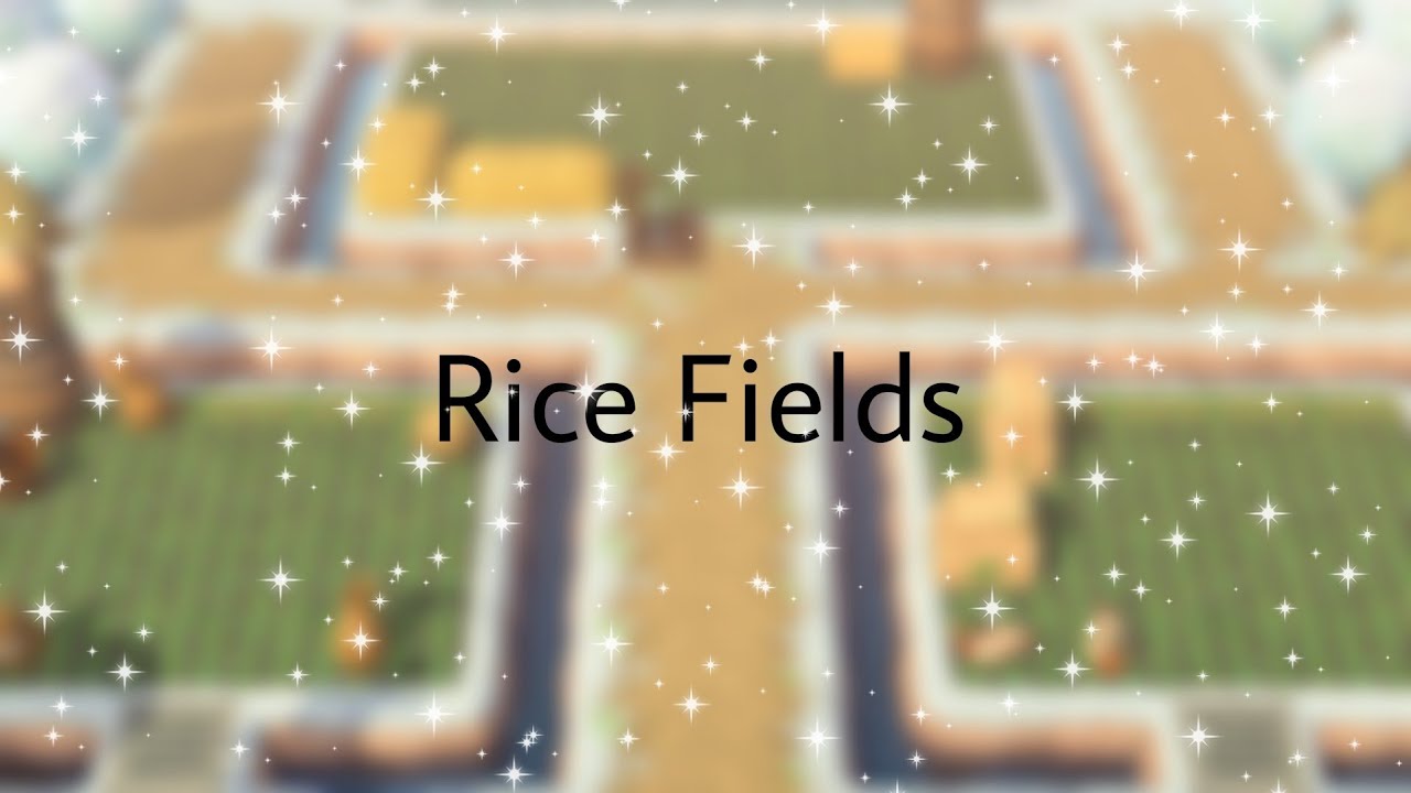Rice Fields 🌱| rural speedbuild | ACNH - YouTube
