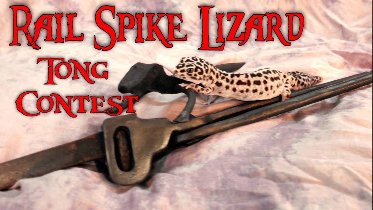 Forged Rail Spike Lizard Contest #spikelizardcontest - YouTube