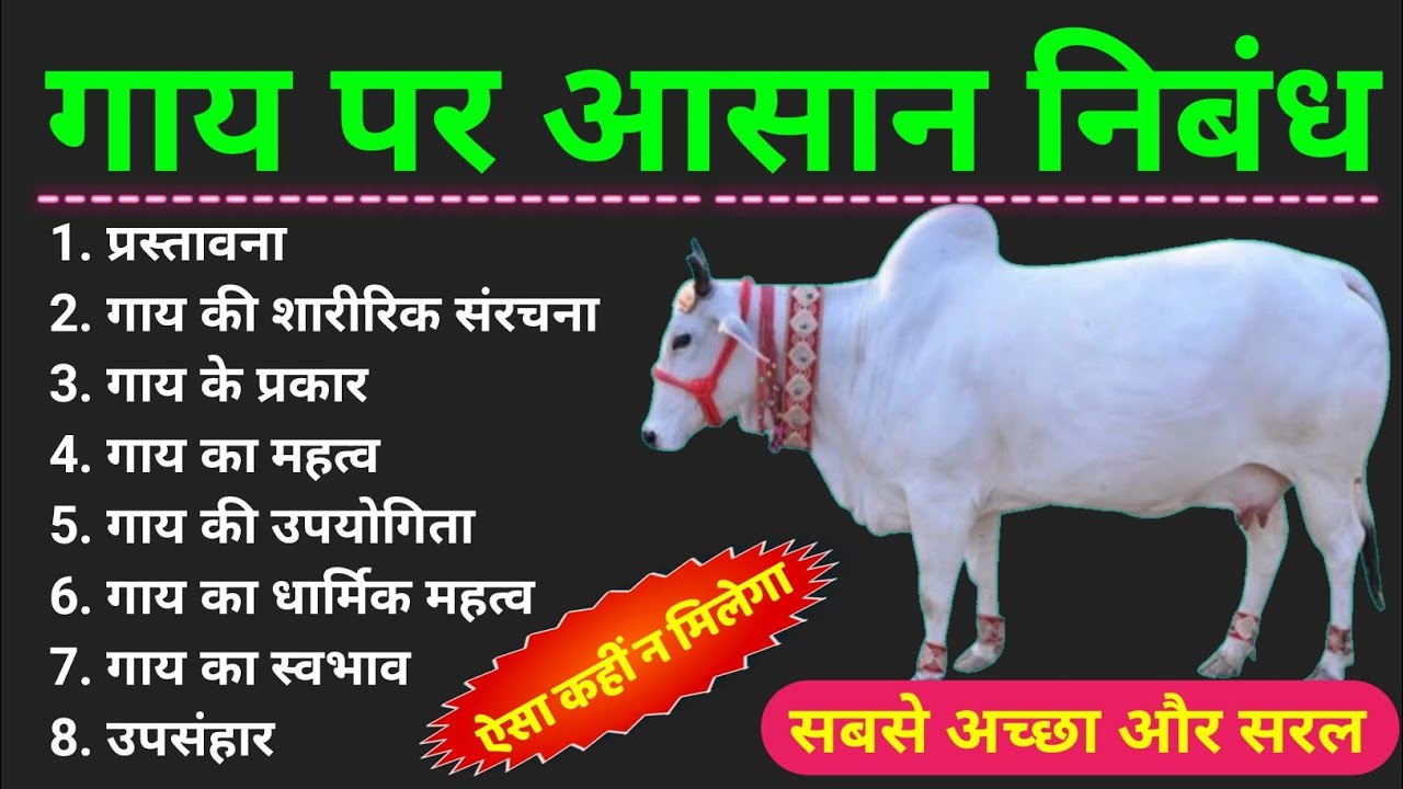 गाय पर आसान निबंध कैसे लिखे? | gaay par nibandh | gay par hindi mein ...