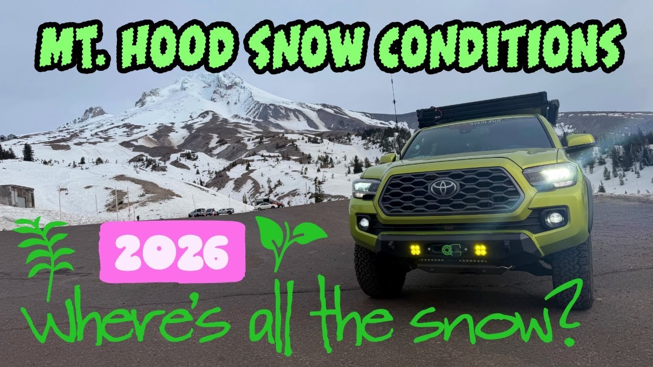 Looking for Snow 2026 - YouTube