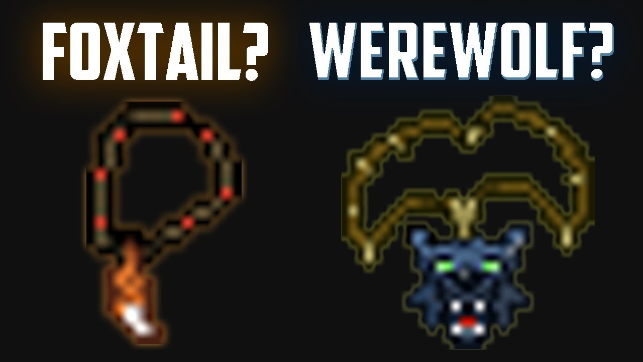 FOXTAIL AMULET vs WEREWOLF AMULET - YouTube