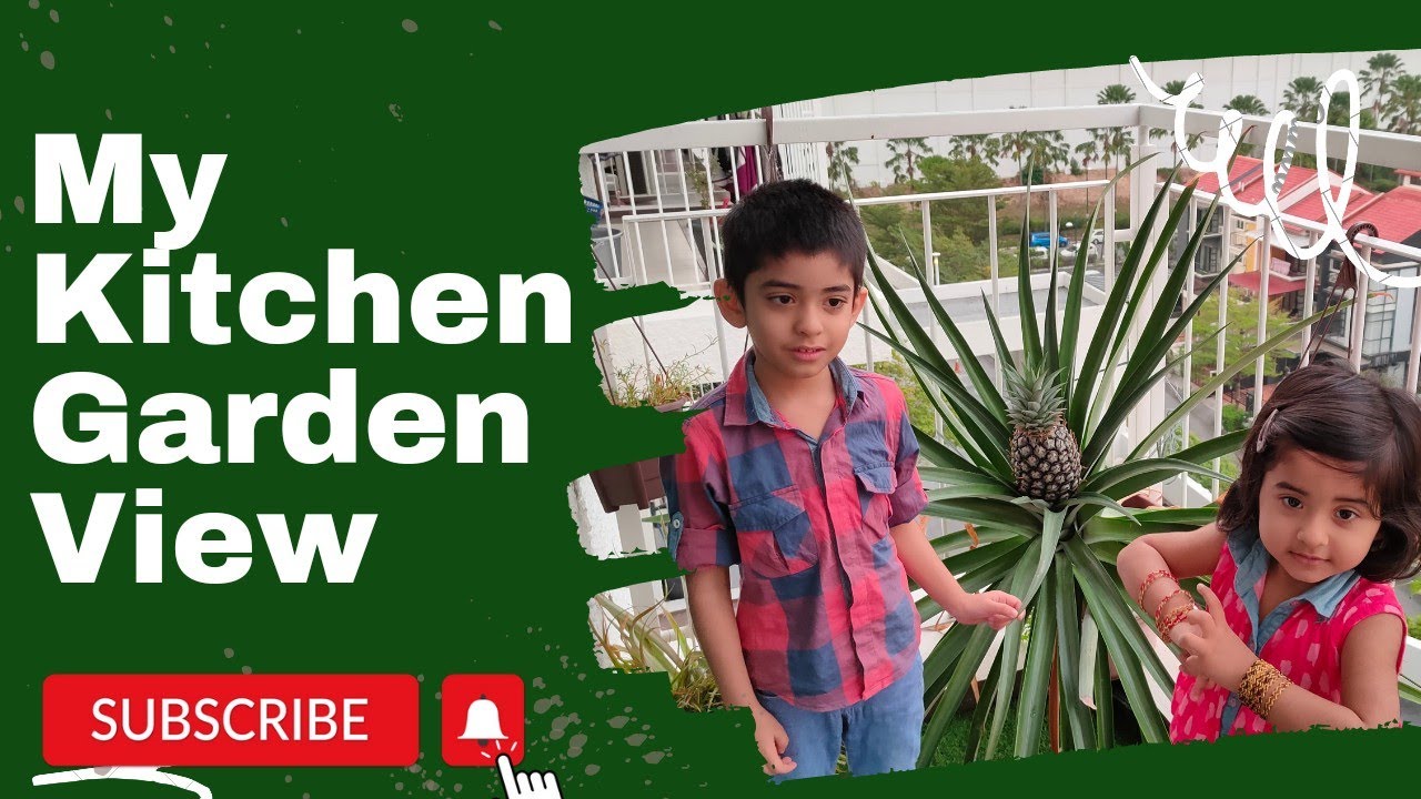 My Kitchen Garden view ☺️ Episode 1@hebbars.kitchen - YouTube