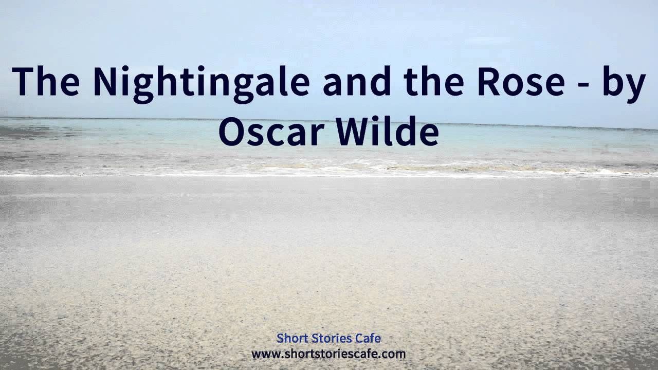 The Nightingale and the Rose by Oscar Wilde - YouTube