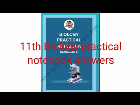 biology b-3,4,5 practical notebook answers - YouTube