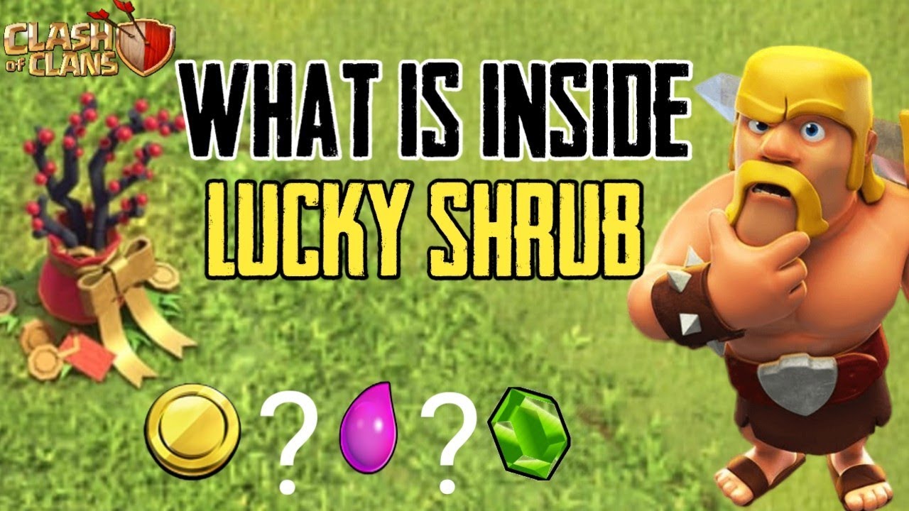 What Is Inside Lucky Shrub In COC - YouTube