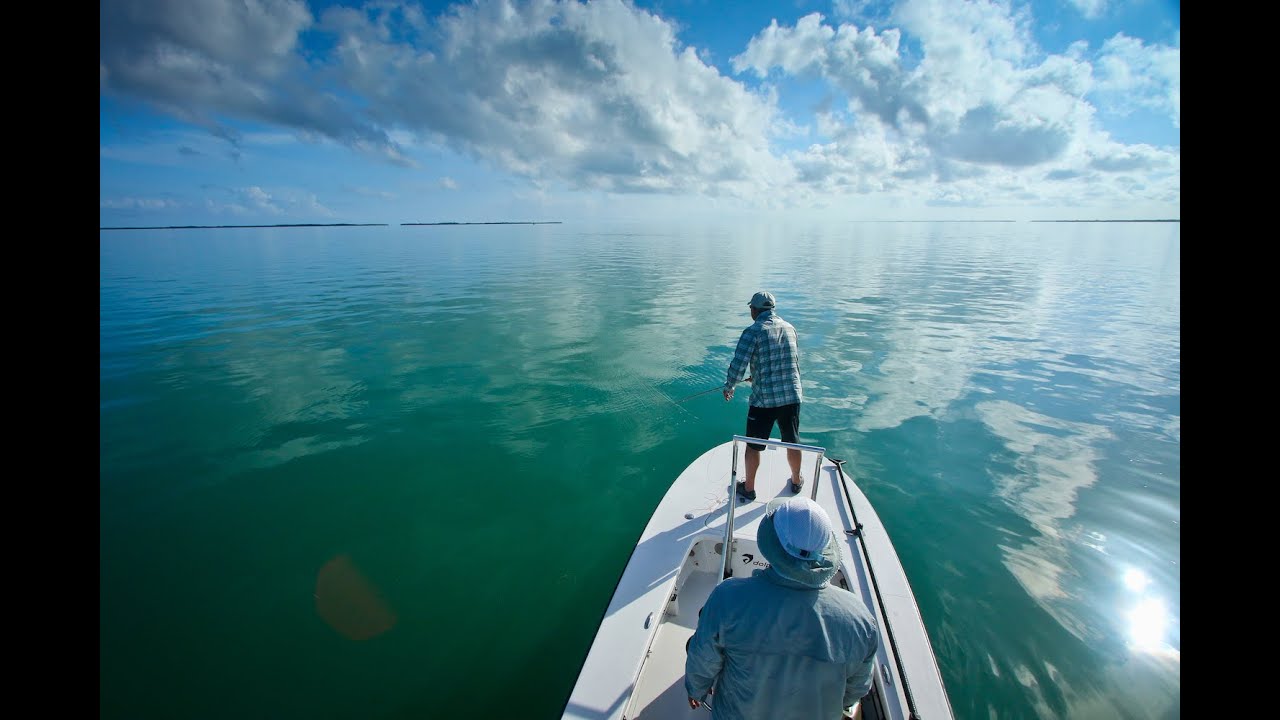 GARDENS OF THE KING, CUBA - Quick Facts - YouTube