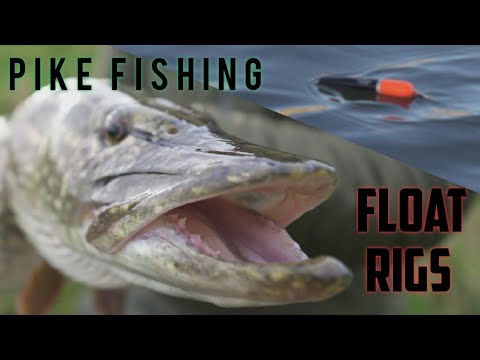 FLOAT FISHING FOR PIKE - PIKE FISHING - FLOAT RIGS - THE PROOF IS IN ...