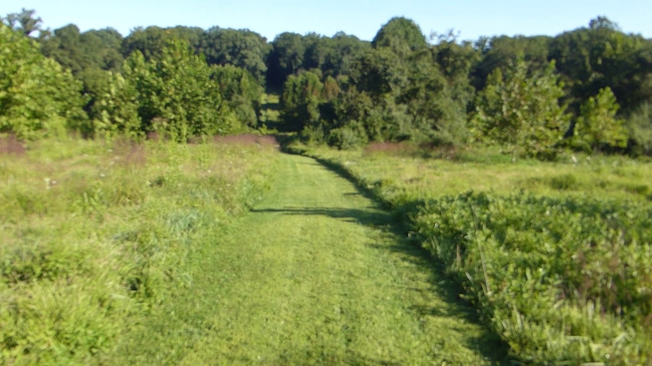 FHNRMA, grass trail area south of Blue Trail, along the central grass ...