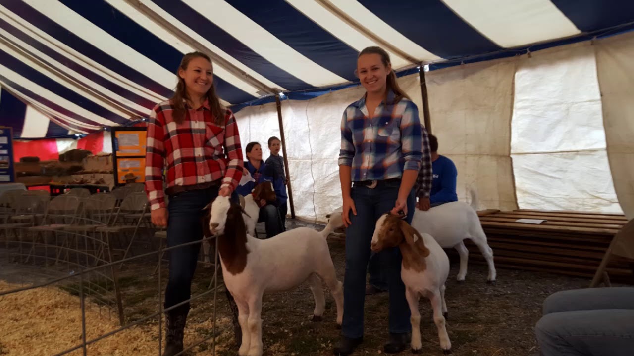 Sarah Shirk Farm Credit Foundation Scholarship - YouTube