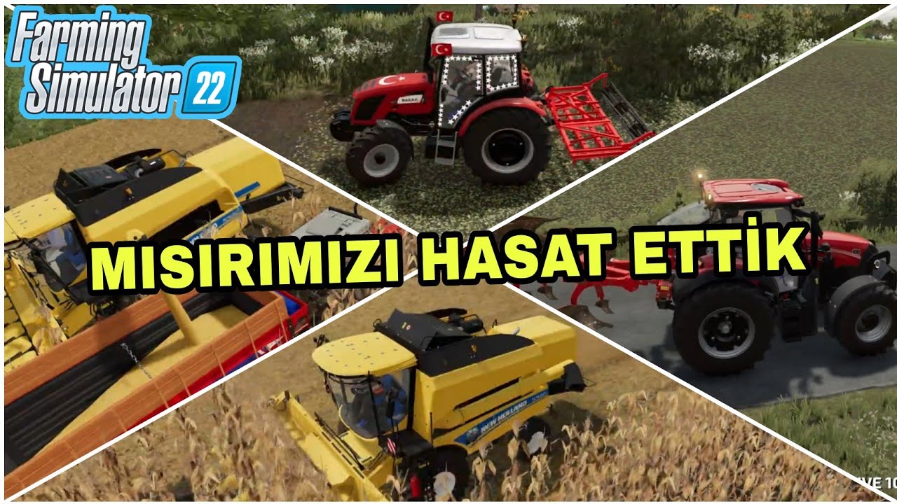 Bugün mısır hasadı yaptık Tarla sürüp, ekim icin hazırladık /farming ...