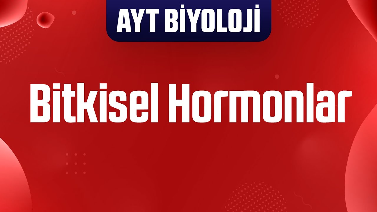54) Bitkisel Hormonlar (AYT Biyoloji Kampı) - YouTube
