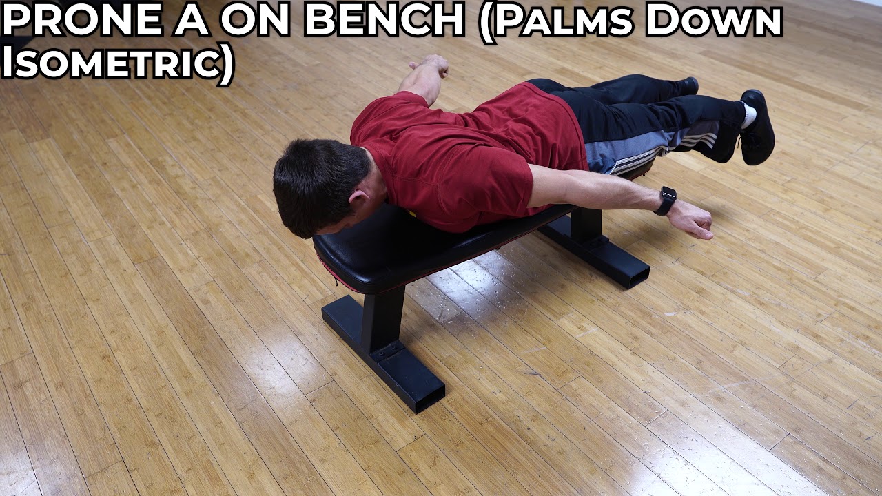 Prone A on Bench (Palms Down Isometric) - YouTube