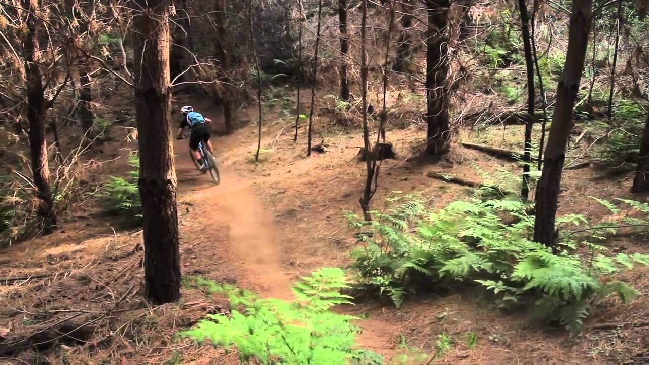 Flow Nation: Mountain Biking in Victoria. Bikes and Brews Tour, Part 3 ...